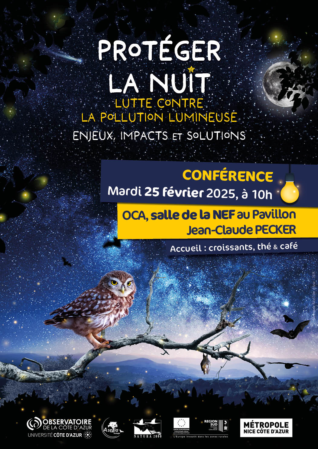 Protecting the night: issues, impacts and solutions to combat light ...